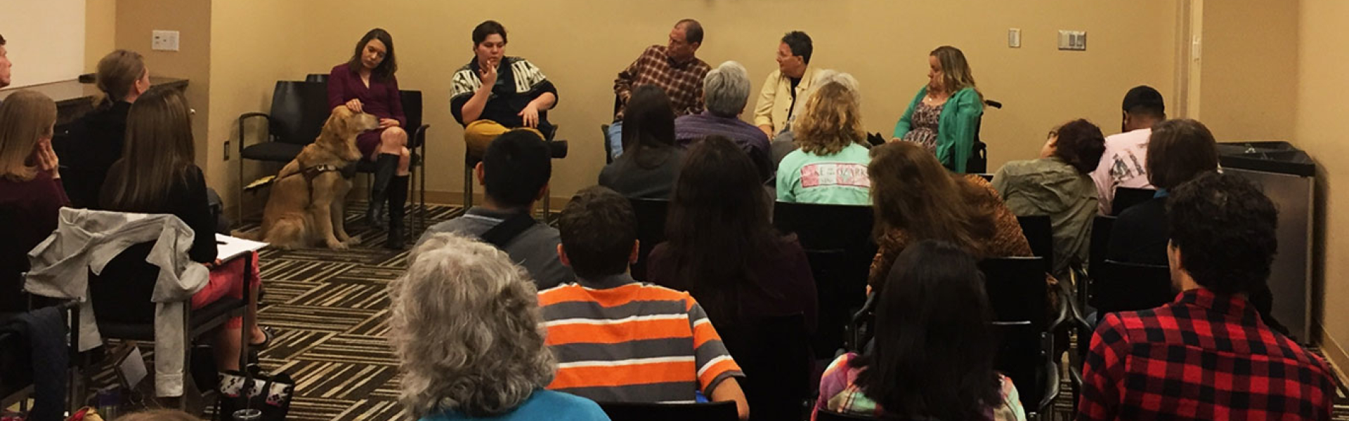 Disabled Parenting Project